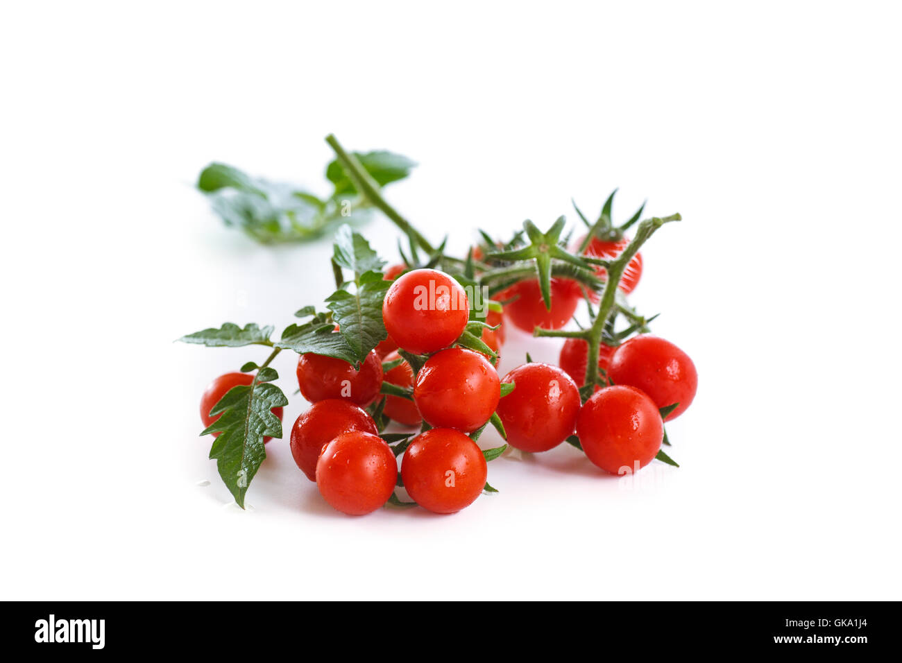 fresh organic cherry tomatoes Stock Photo - Alamy