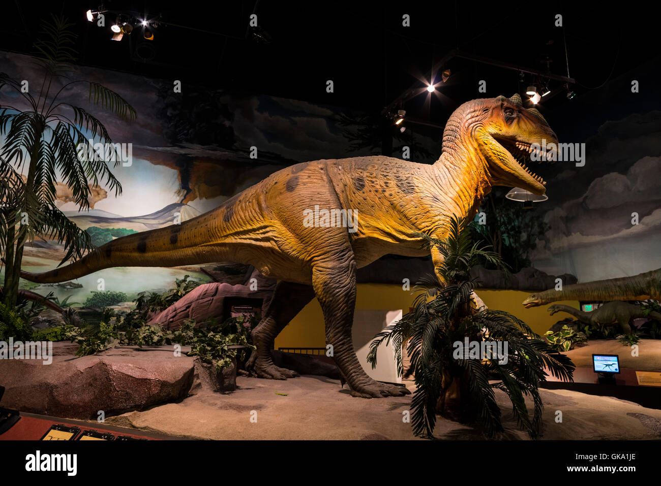 Dinosaur models of the Pacific Science Center, Seattle Stock Photo - Alamy
