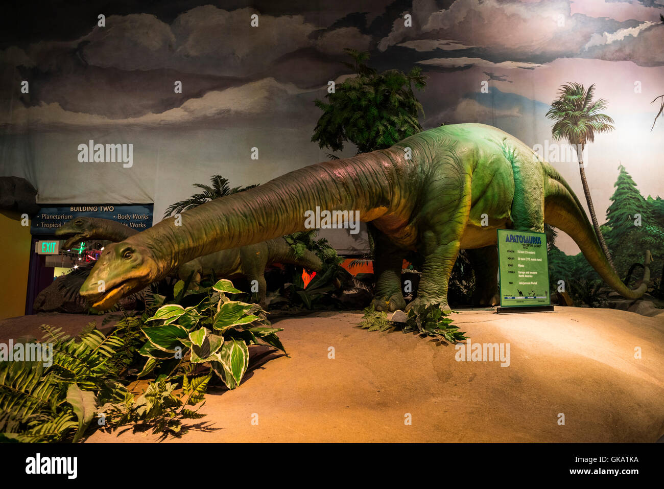 Dinosaur models of the Pacific Science Center, Seattle Stock Photo - Alamy