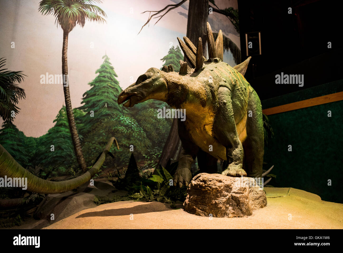 Dinosaur models of the Pacific Science Center, Seattle Stock Photo - Alamy