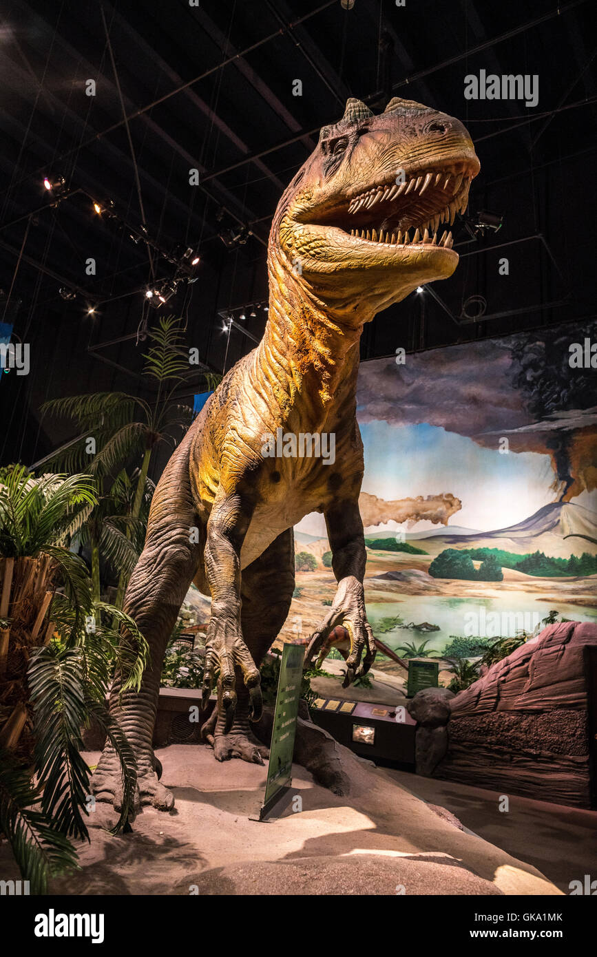 Dinosaur models of the Pacific Science Center, Seattle Stock Photo - Alamy