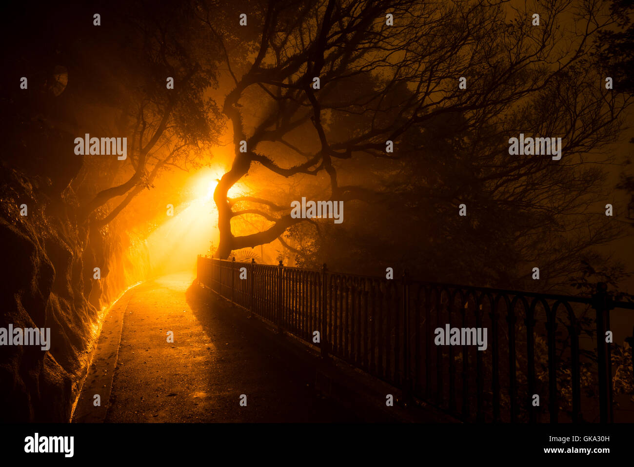 Hong Kong at night trail Stock Photo - Alamy