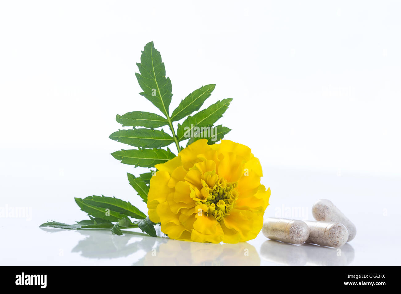 Capsule of marigold Tagetes flowers extract Stock Photo - Alamy