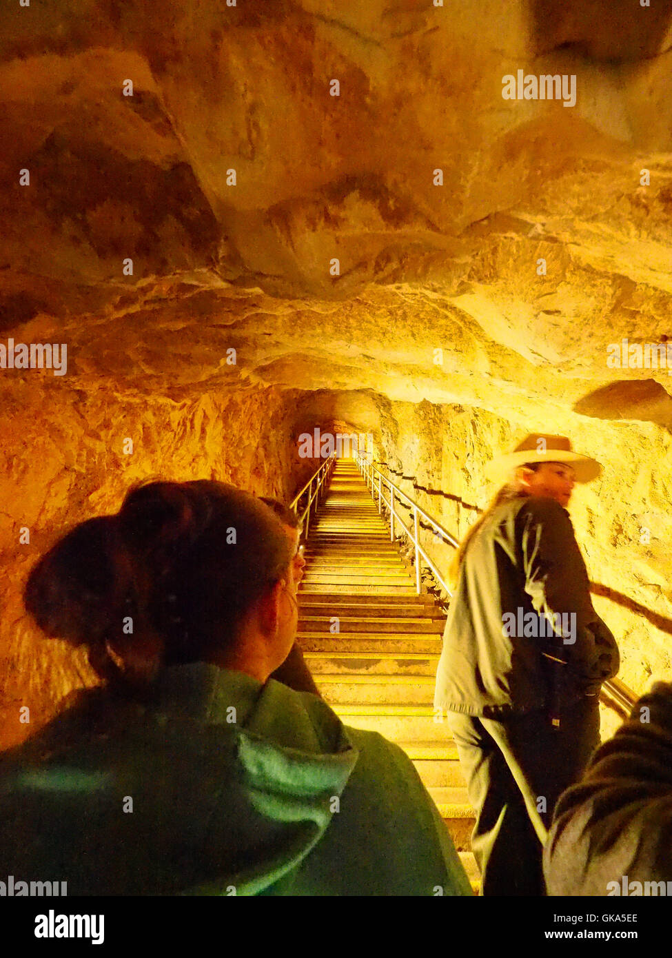 Stairs, Cleveland Avenue Tour, Mammoth Cave National Park, Park City ...