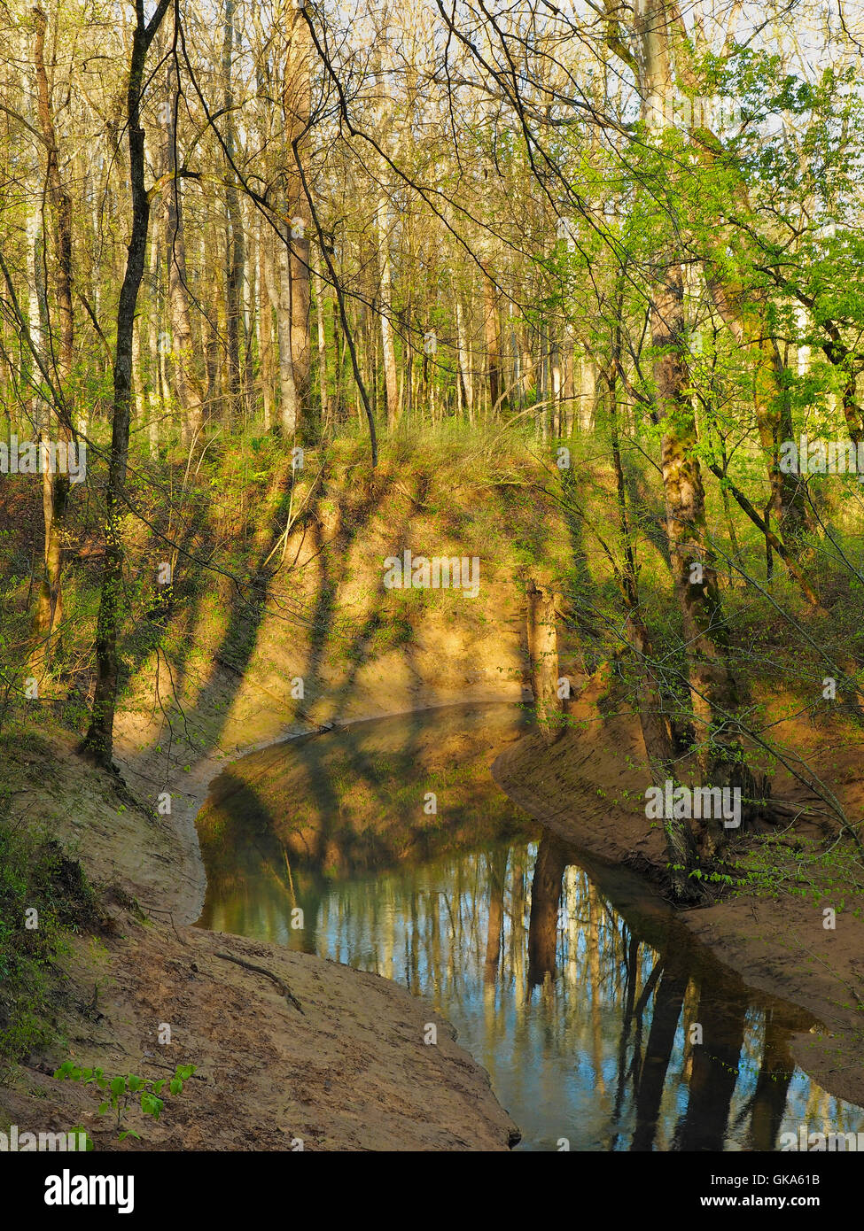 Echo River Spring, Echo River Spring Trail, Mammoth Cave National Park ...
