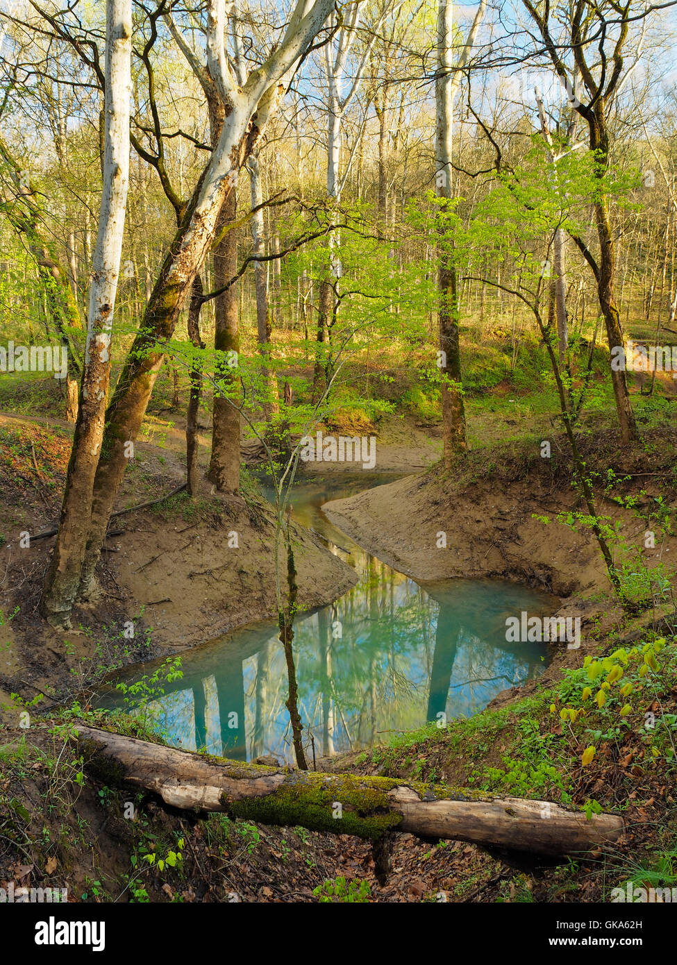 Echo River Spring, Echo River Spring Trail, Mammoth Cave National Park ...