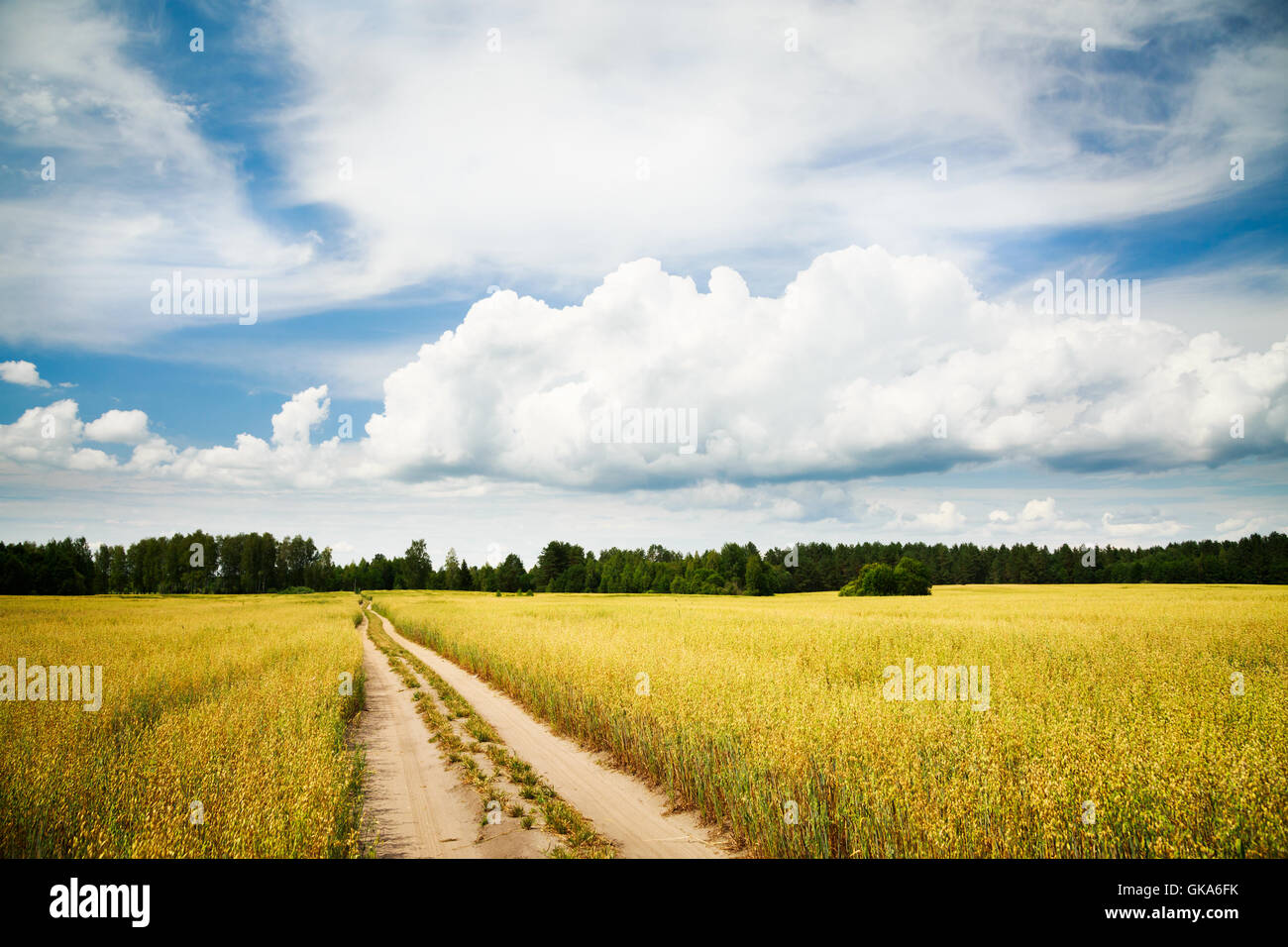 Landscape with Field and Empty Countryside Road Stock Photo - Alamy