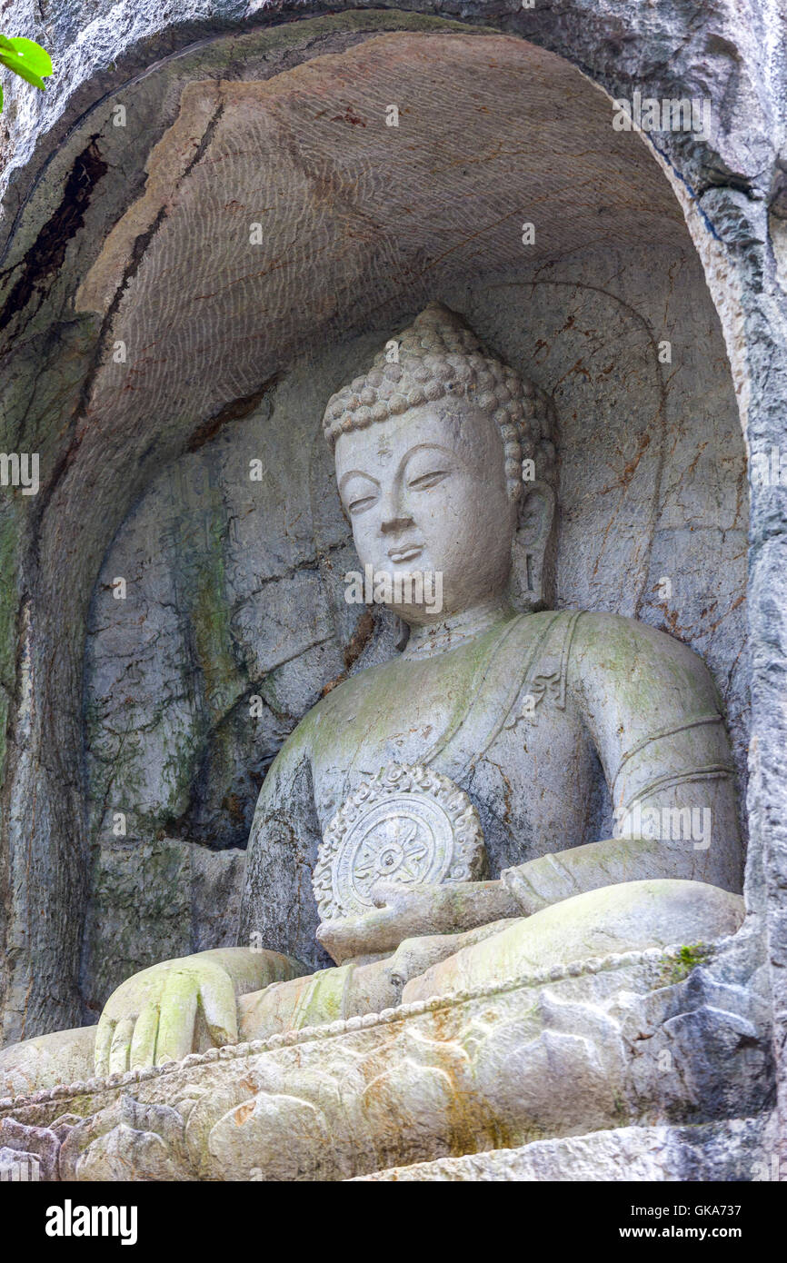 Ancient and precious trees protection hi-res stock photography and ...