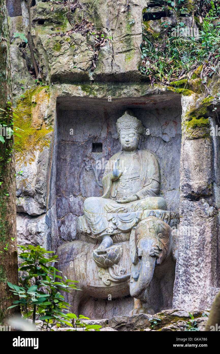 Ancient and precious trees protection hi-res stock photography and ...