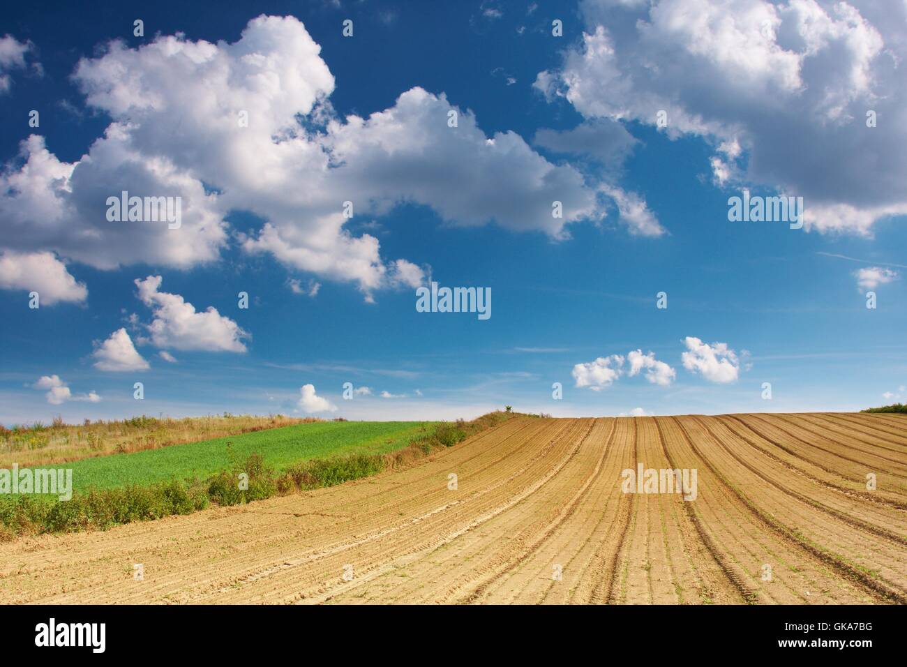 blue environment enviroment Stock Photo - Alamy