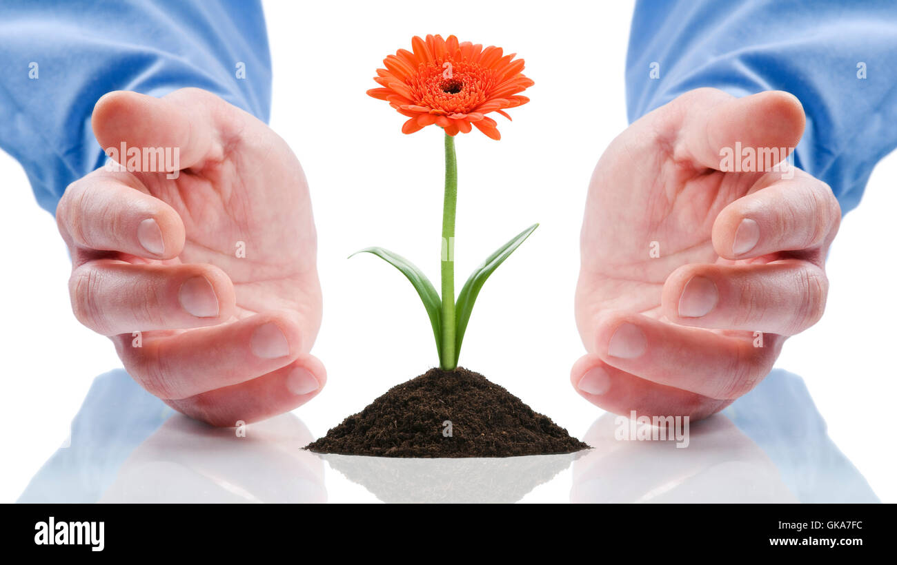 hand hands flower Stock Photo - Alamy