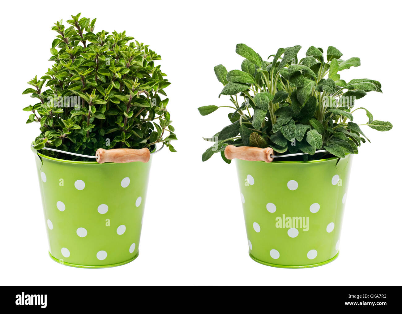 agriculture farming tin Stock Photo - Alamy