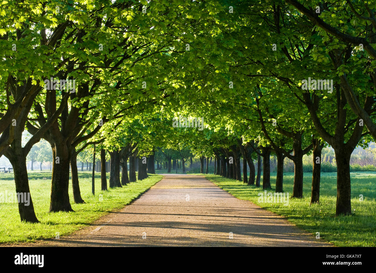 Prospect park scenery hi-res stock photography and images - Alamy