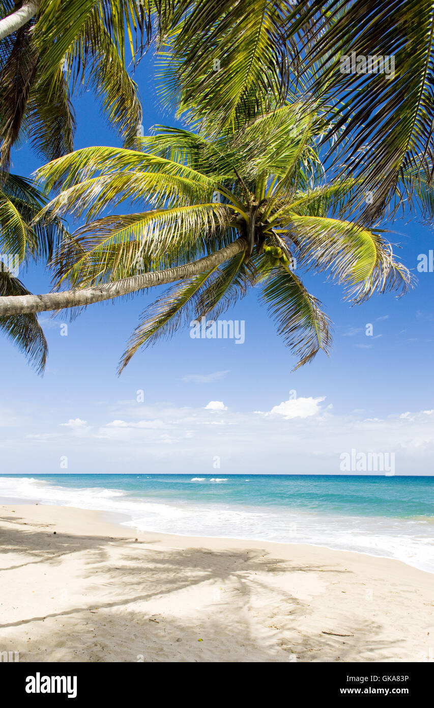 beach seaside the beach Stock Photo - Alamy