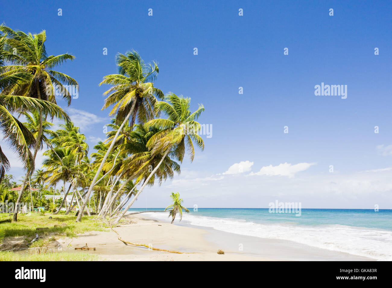 beach seaside the beach Stock Photo - Alamy