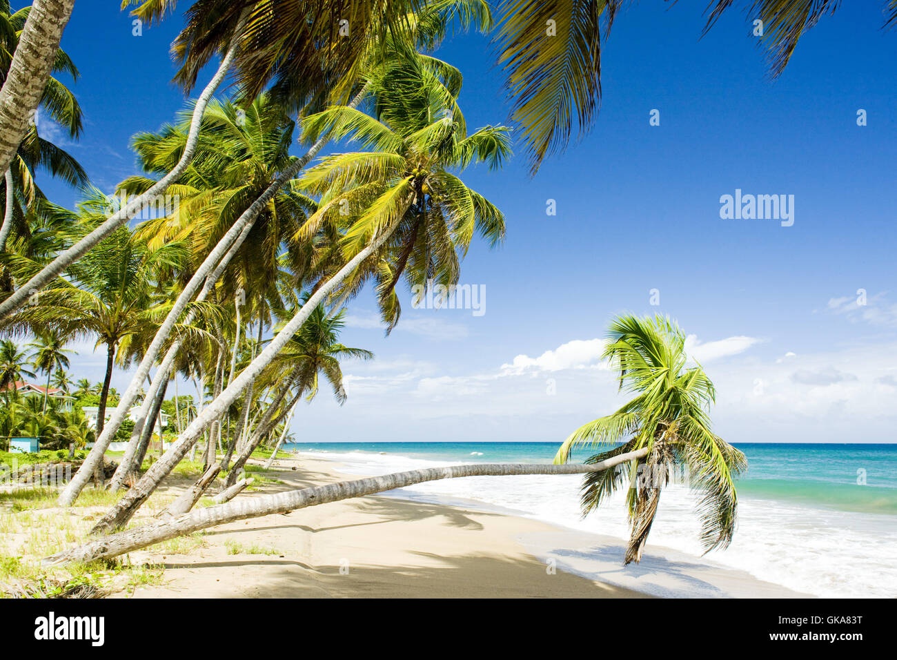 beach seaside the beach Stock Photo - Alamy