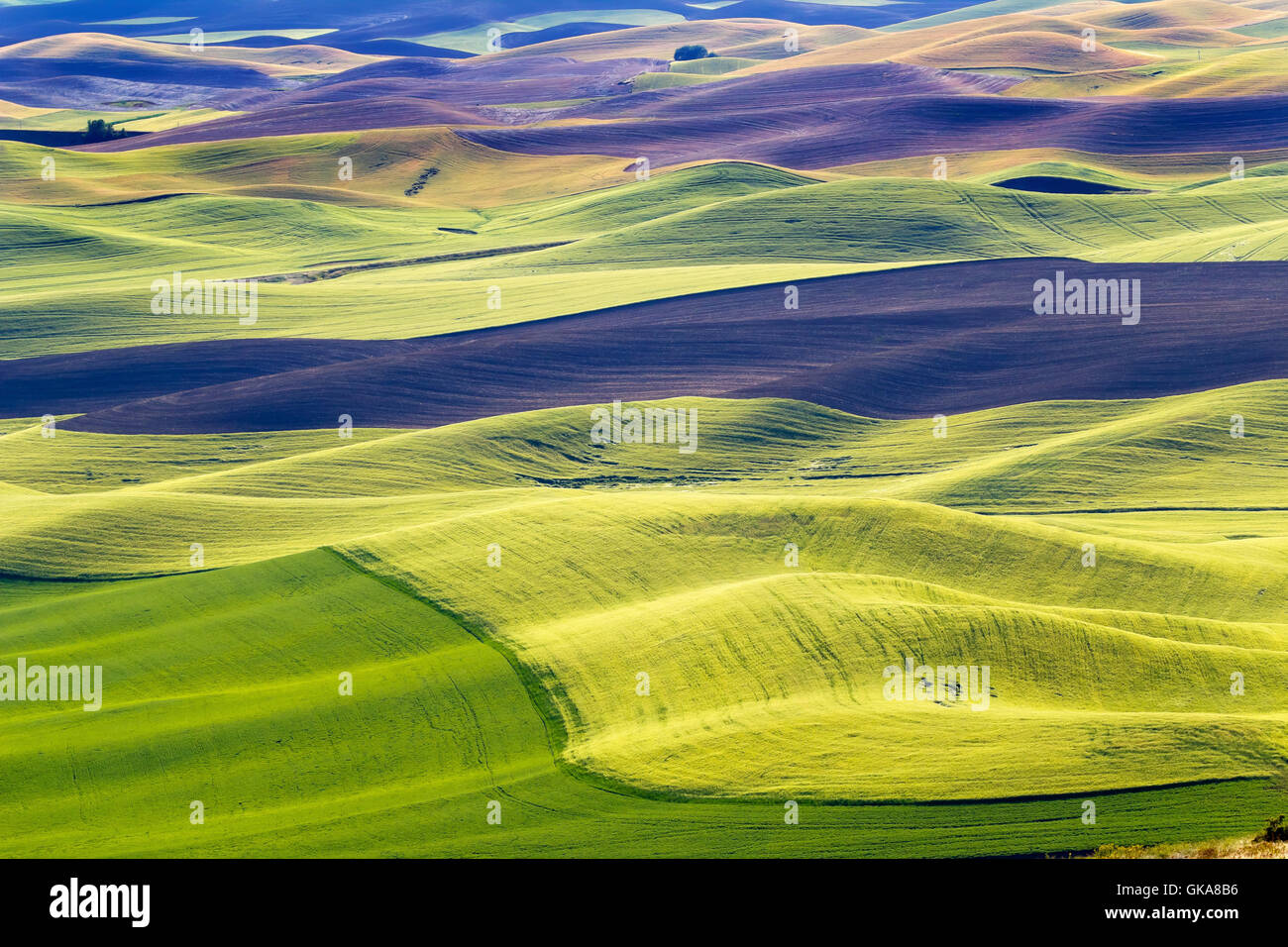abstract landscape scenery Stock Photo - Alamy