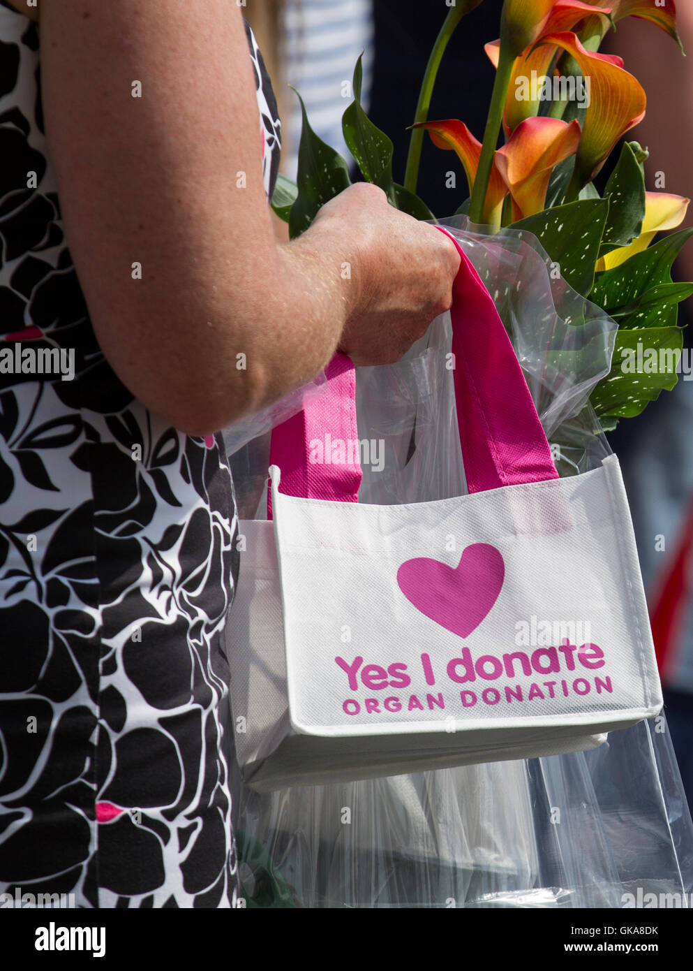 Organ Donation Bag Stock Photos & Organ Donation Bag Stock Images - Alamy