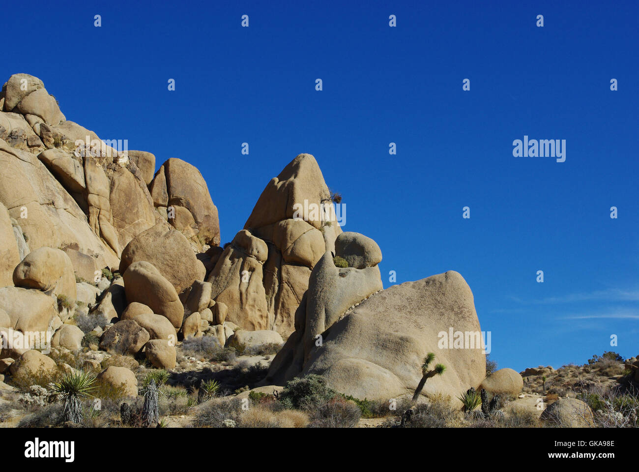 desert wasteland formation Stock Photo - Alamy