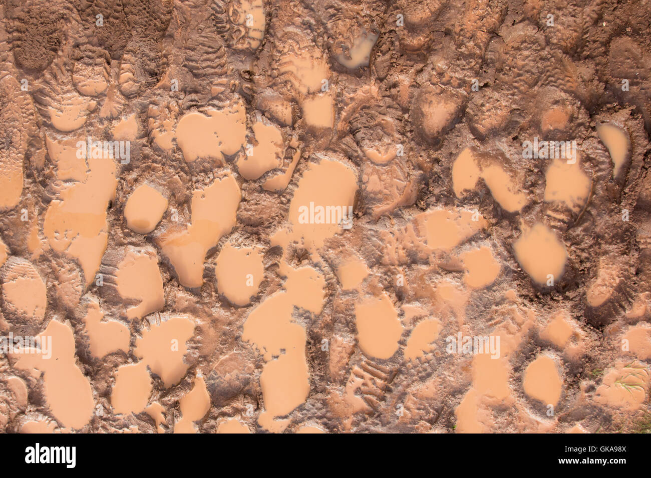 Wet mud with footprints, hiking trail in Iceland Stock Photo - Alamy