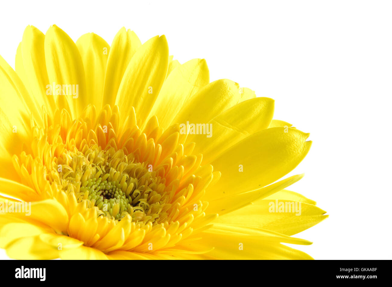 close present beautiful Stock Photo - Alamy