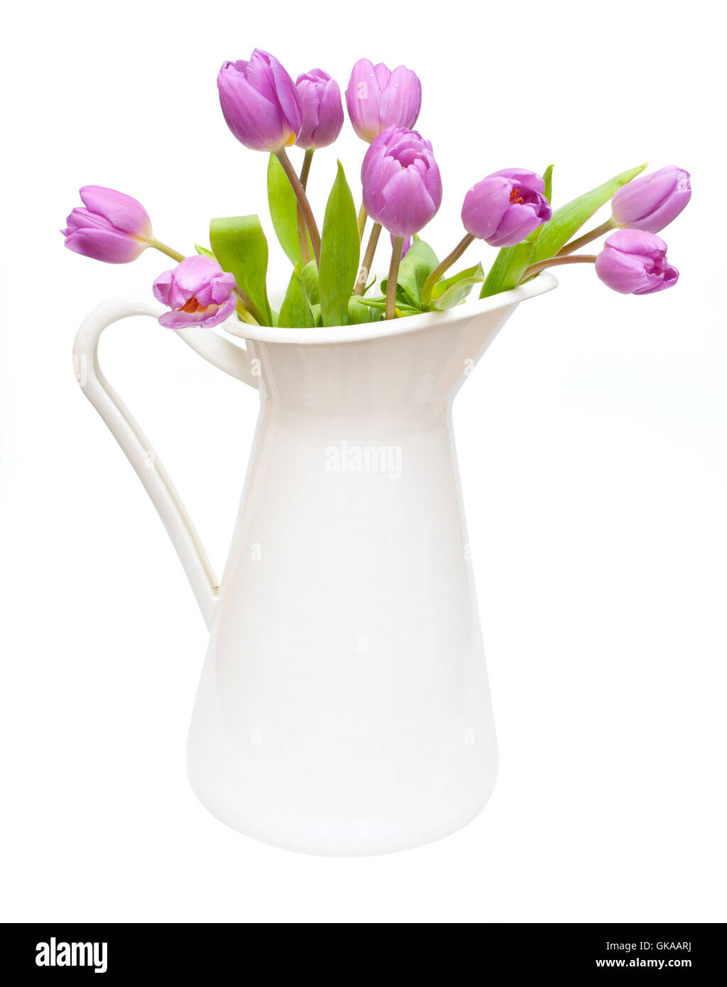 isolated flower plant Stock Photo - Alamy