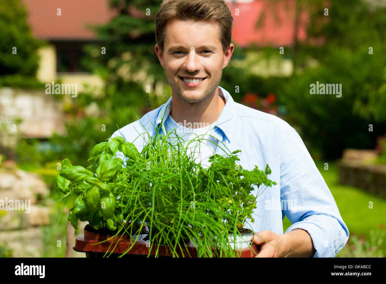 gardening in summer - man with herbs Stock Photo - Alamy