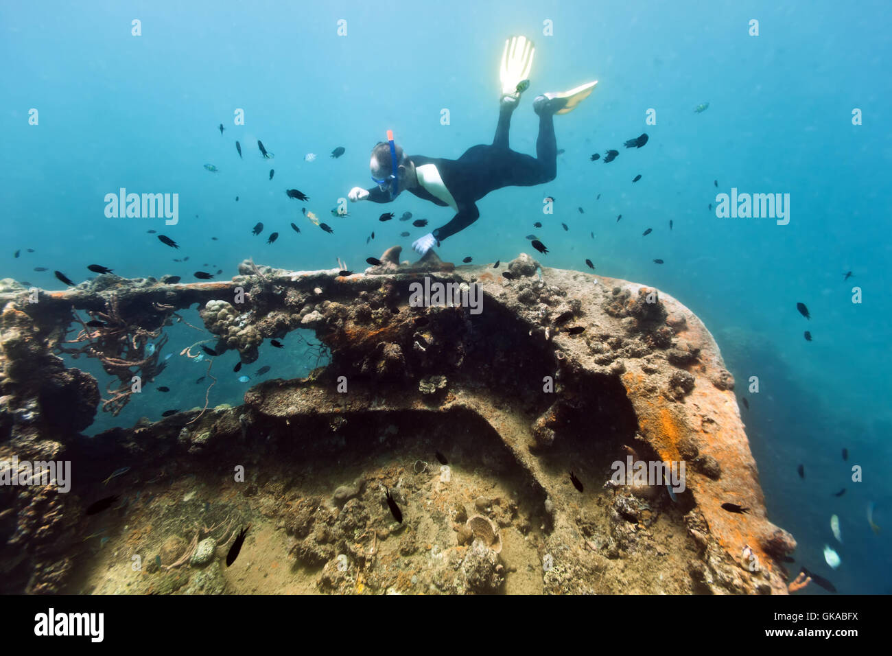 underwater wreck shipwreck Stock Photo - Alamy
