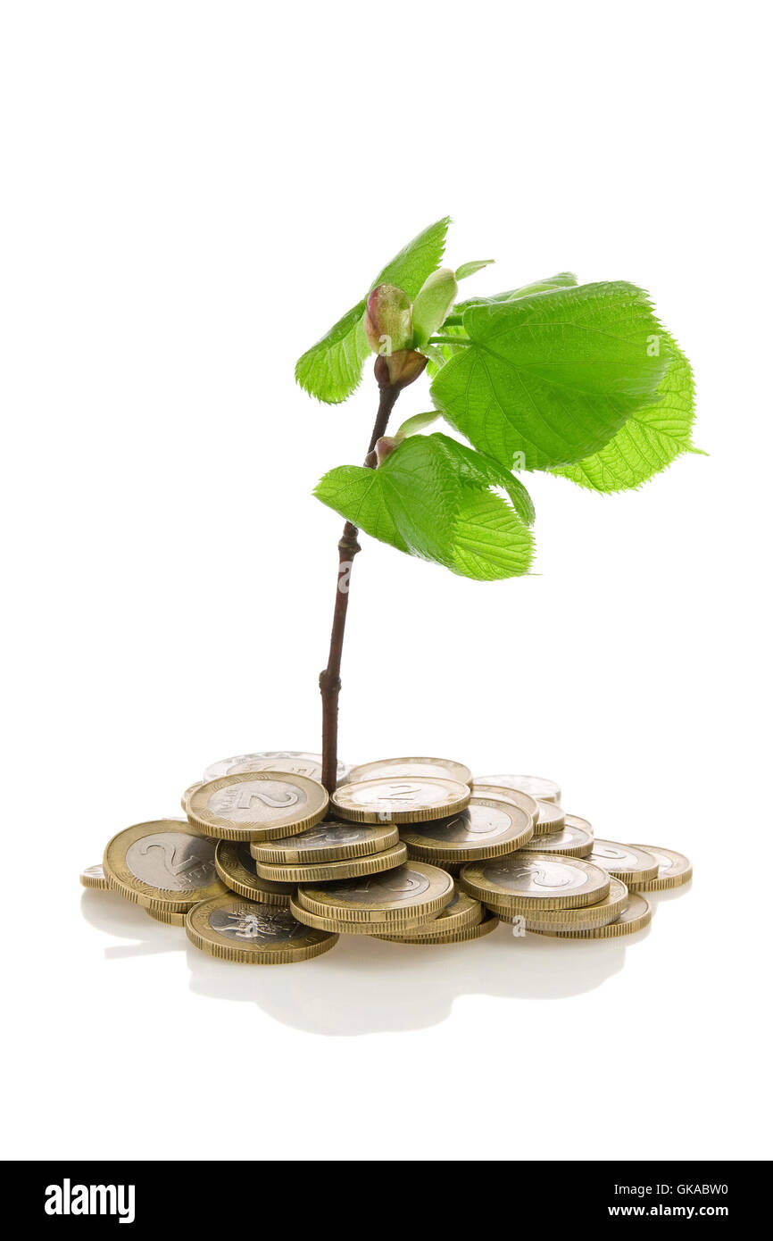 Business project development improvement Cut Out Stock Images ...