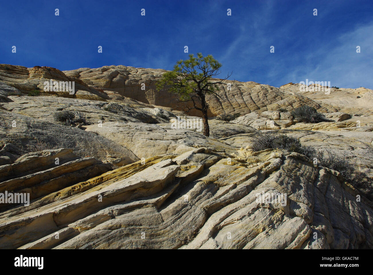 beautiful layered rocks,grand stair escalante national monument,utah ...