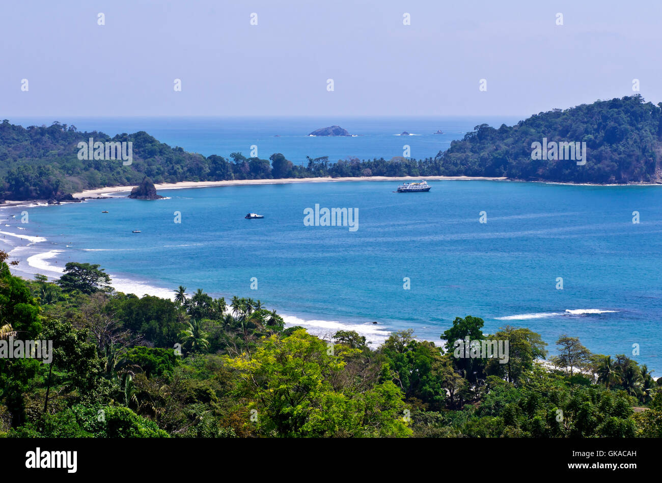 Virgin forest hi-res stock photography and images - Alamy