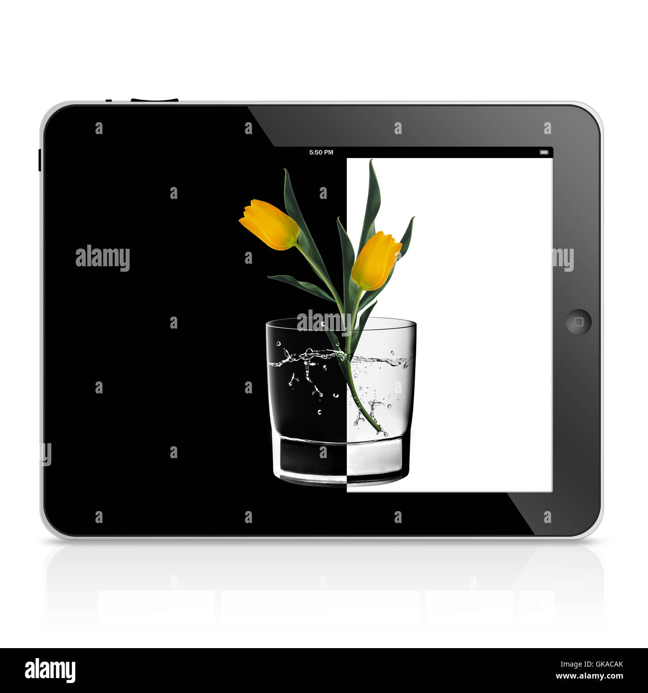 Web application image Cut Out Stock Images & Pictures - Alamy