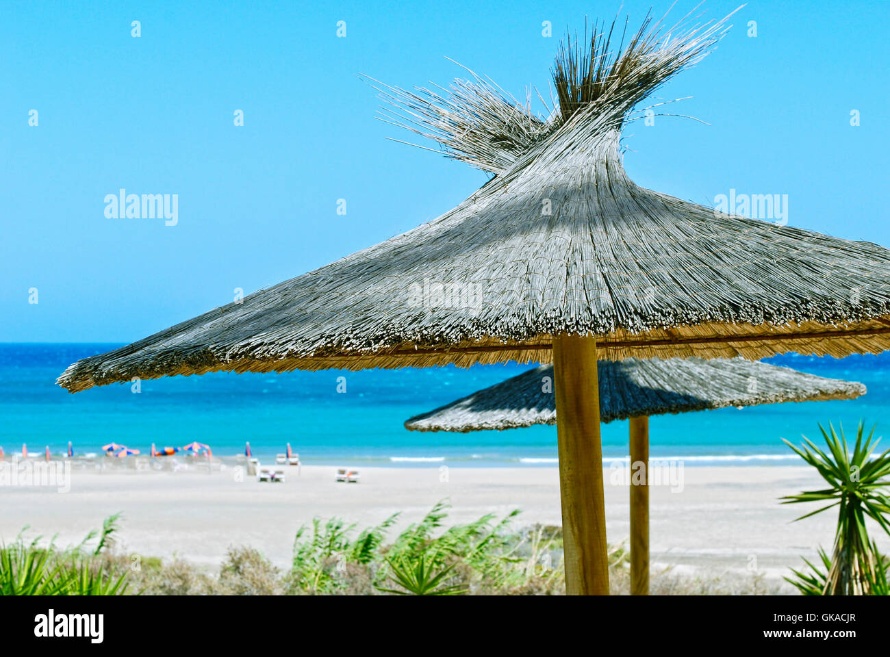 blue travel relaxation Stock Photo - Alamy