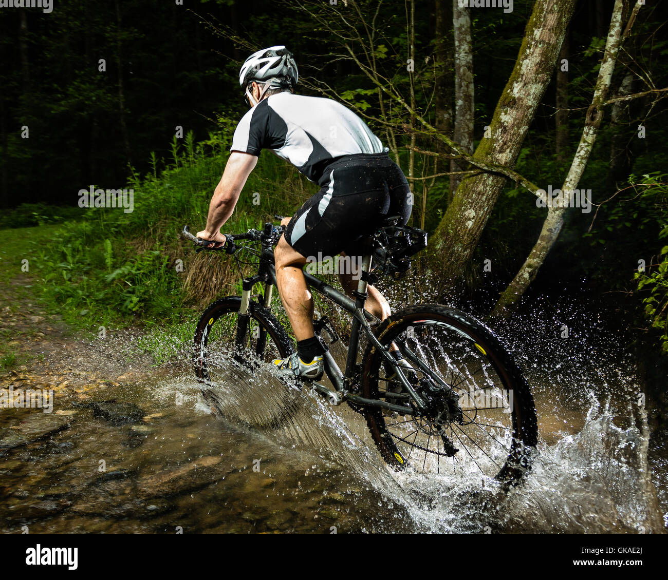 mountain biker in action Stock Photo - Alamy