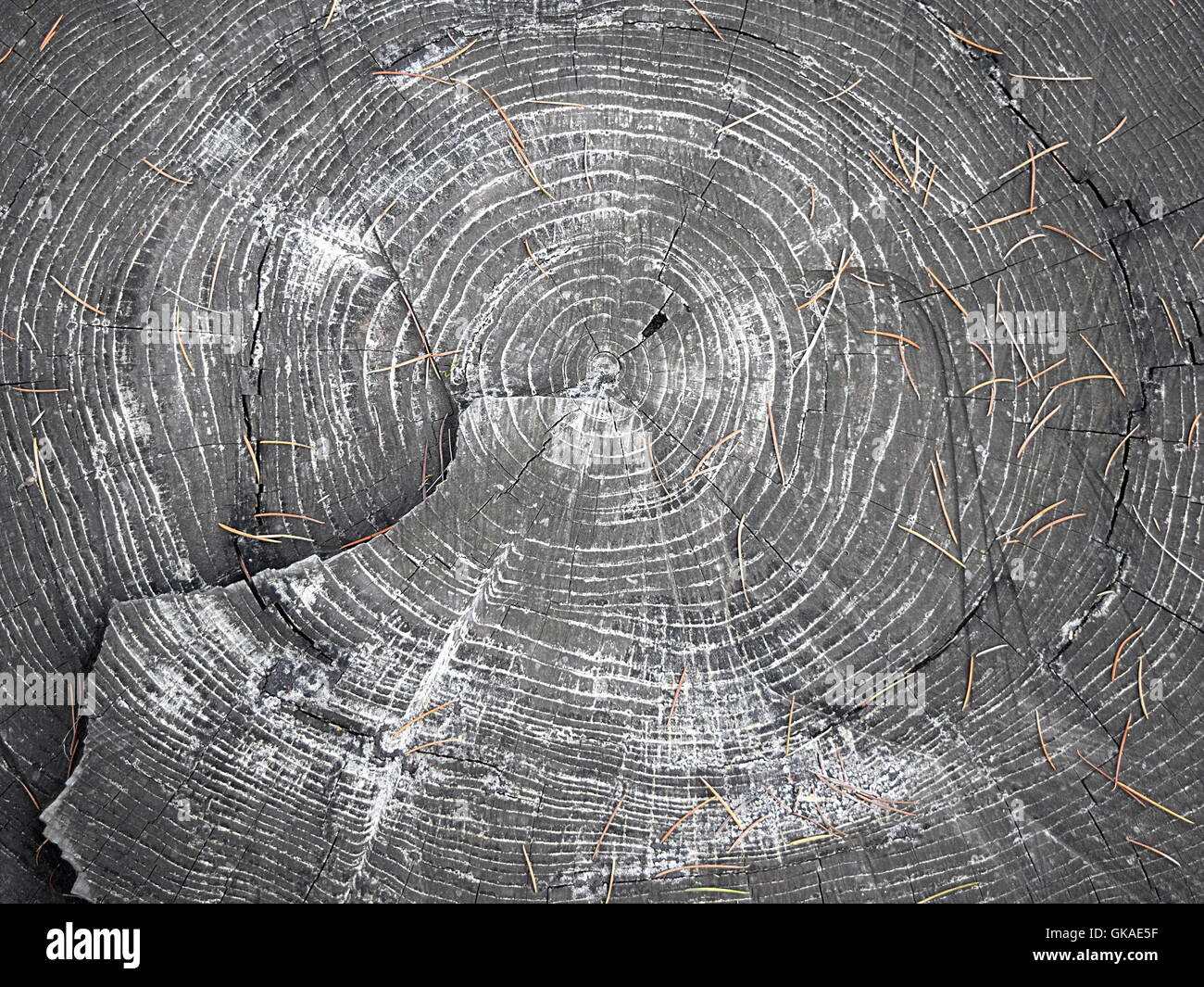 Gray background texture hi-res stock photography and images - Alamy