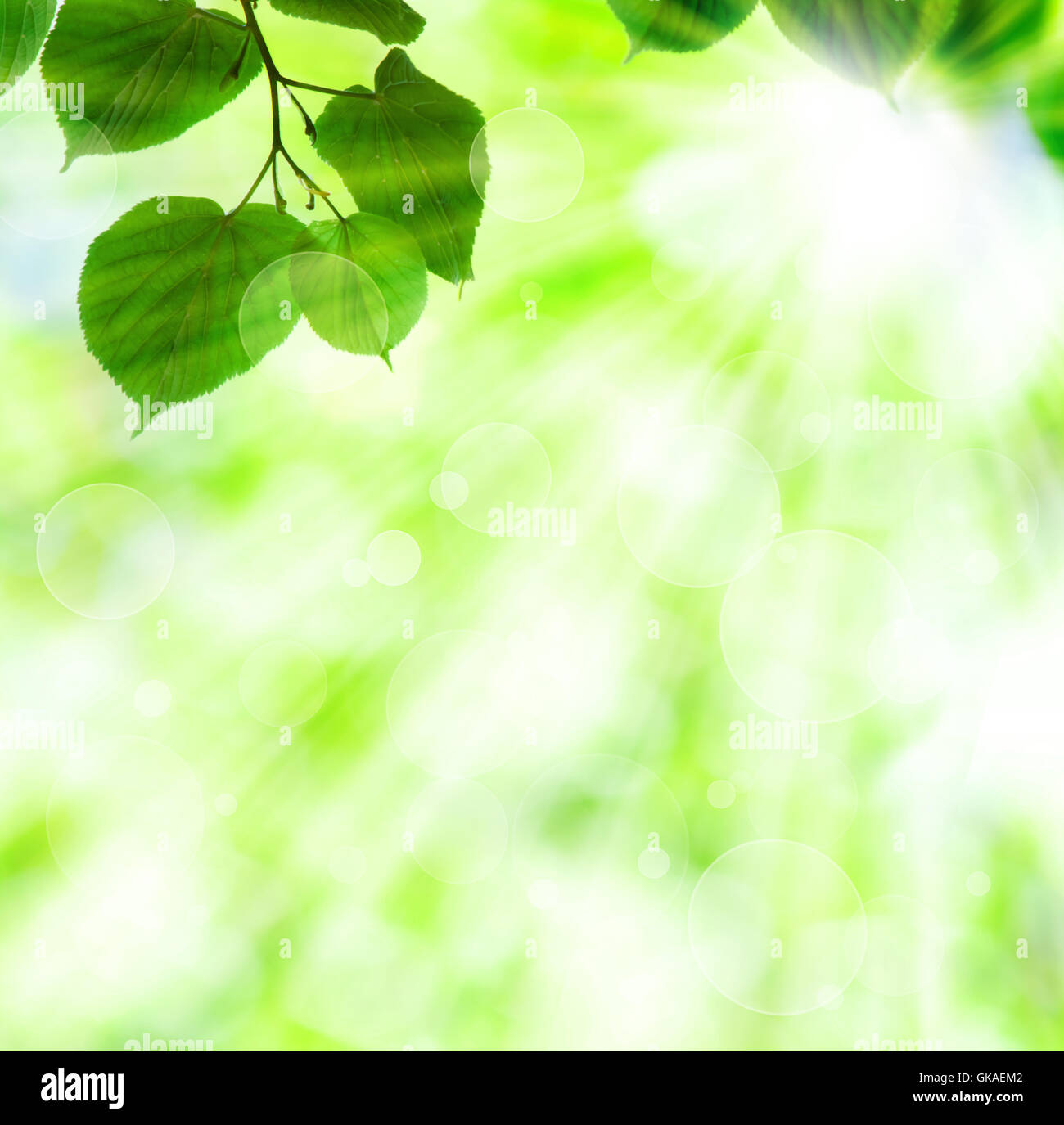 beautiful beauteously nice Stock Photo - Alamy