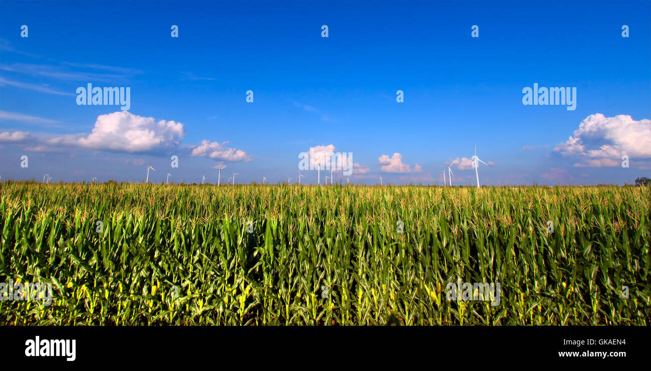 agriculture farming field Stock Photo - Alamy