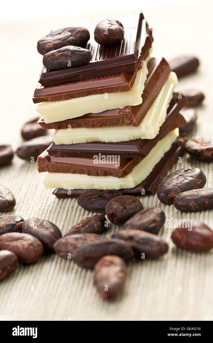 seed cocoa bean Stock Photo - Alamy