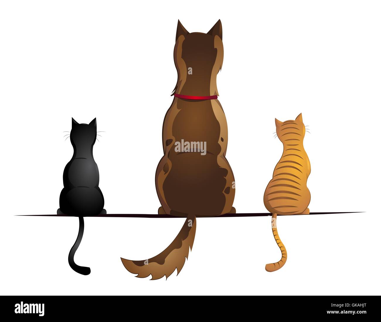 dog with two cats Stock Photo - Alamy