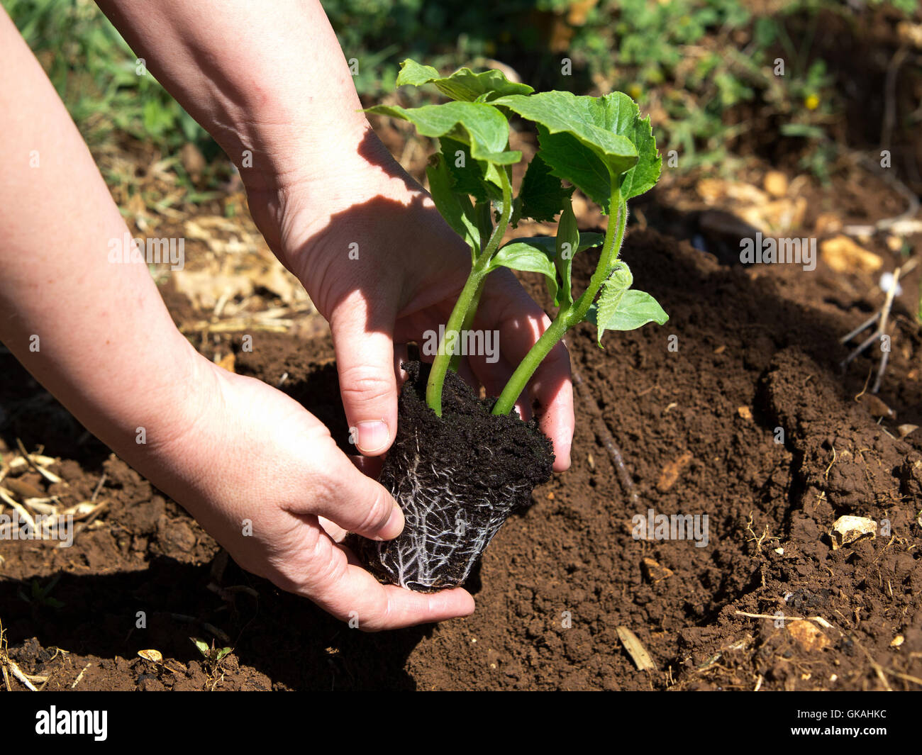 ground soil earth Stock Photo - Alamy