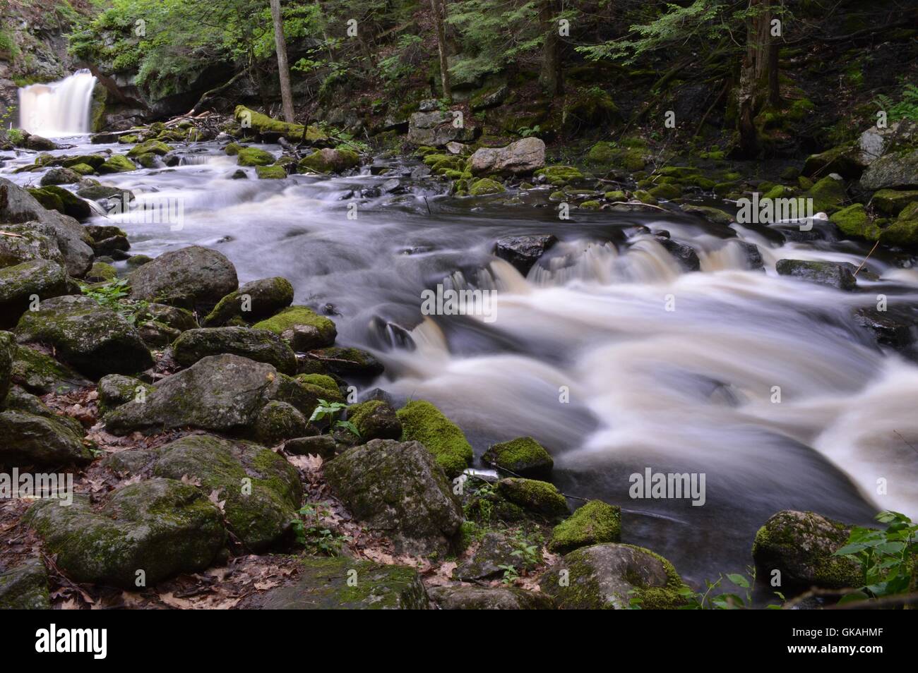 Rocky stream flowing through forest hi-res stock photography and images ...
