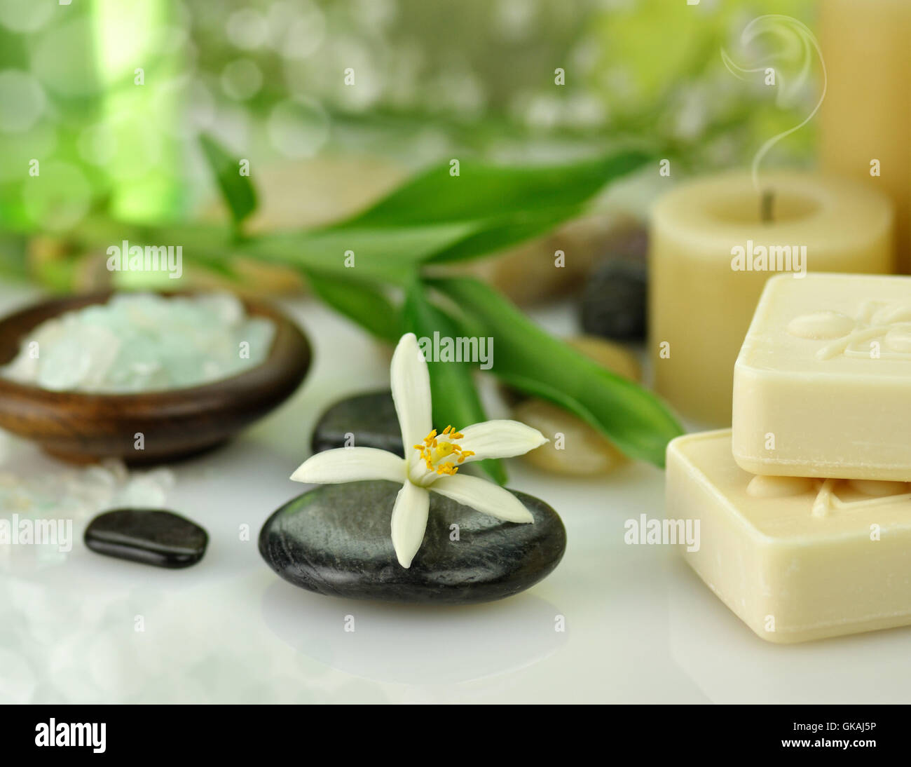 health flower plant Stock Photo - Alamy
