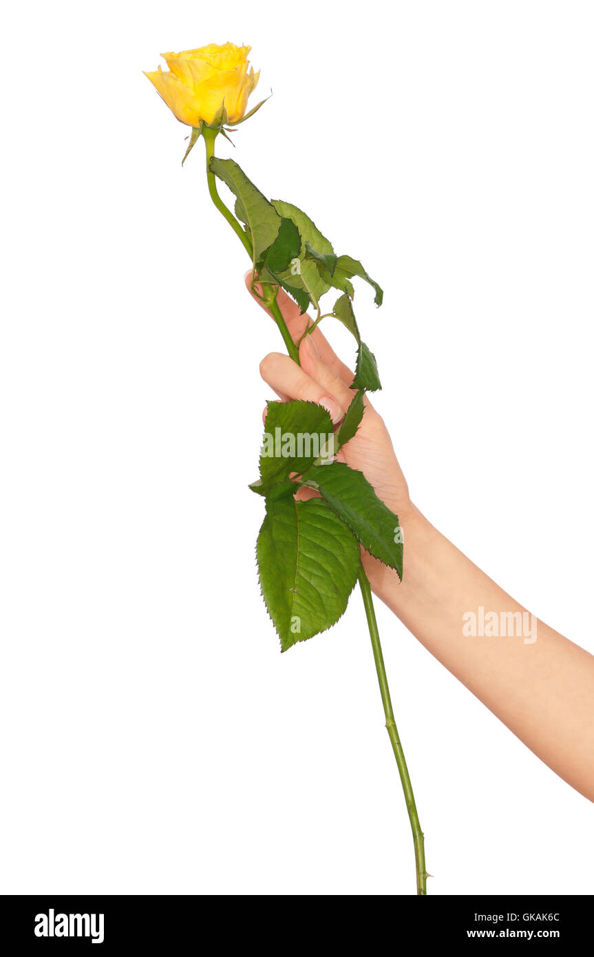 Pluck the flower hi-res stock photography and images - Alamy