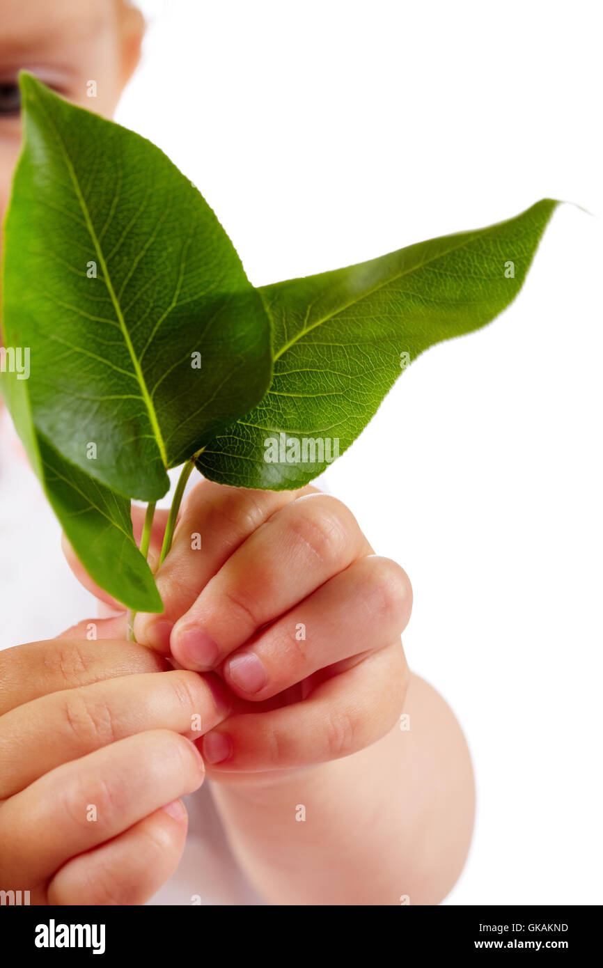 finger leaf life Stock Photo - Alamy