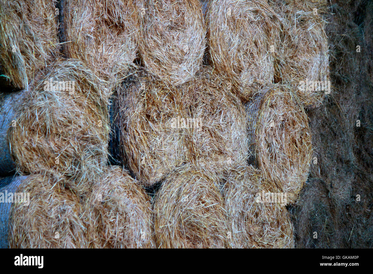 Straw stroh hi-res stock photography and images - Alamy