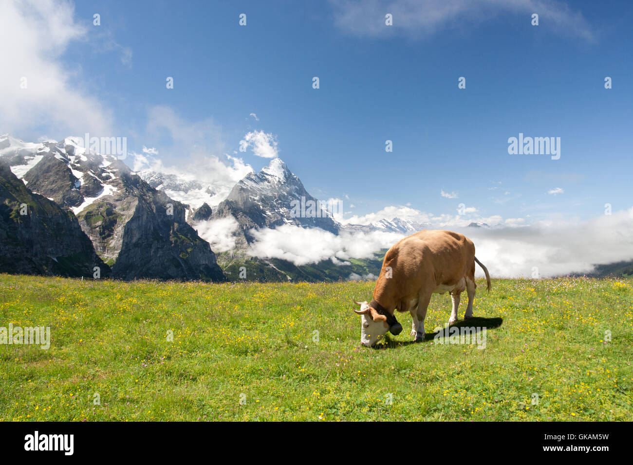 Horizontal agriculture farming hi-res stock photography and images - Alamy