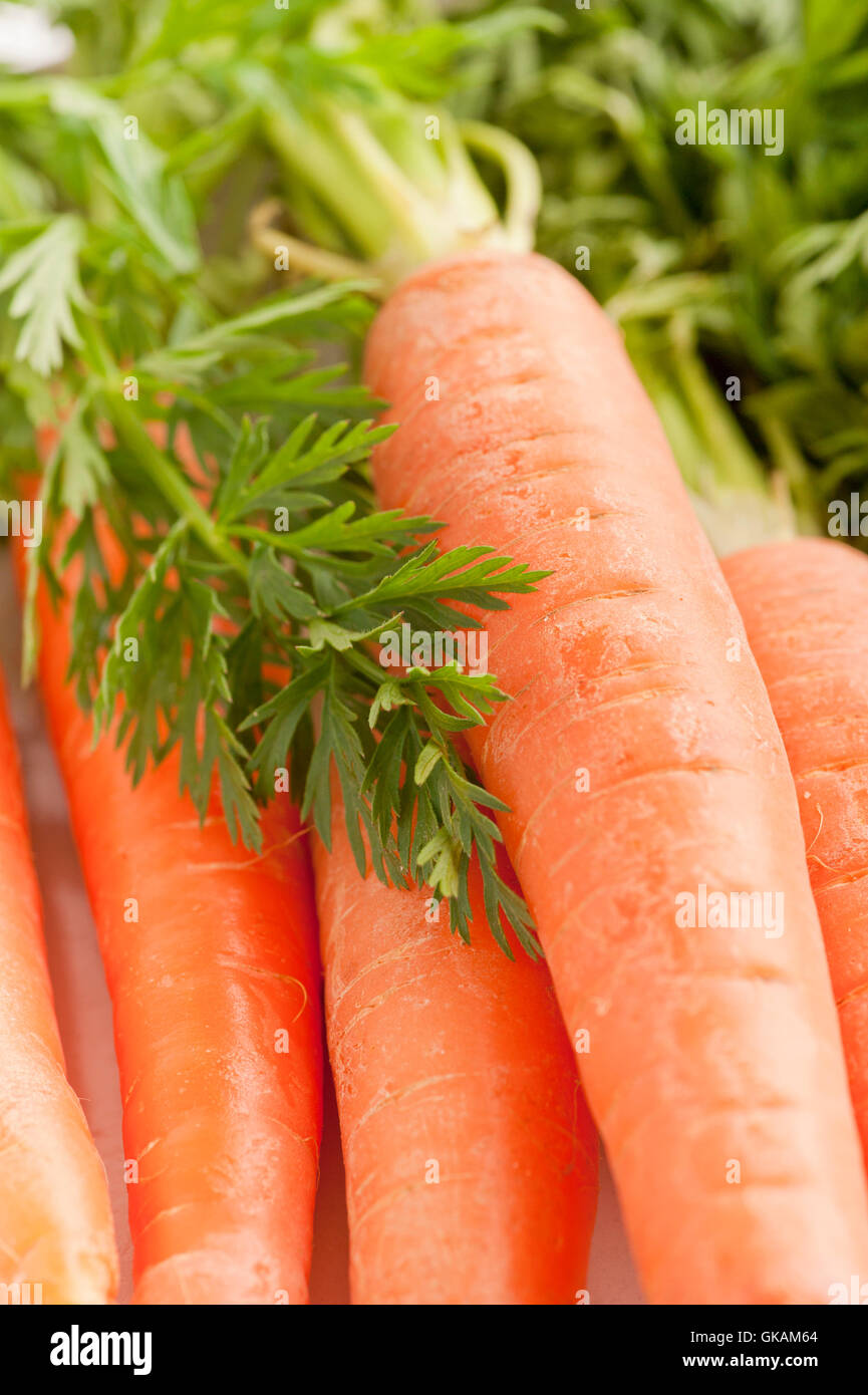 Orange color carrot hi-res stock photography and images - Alamy