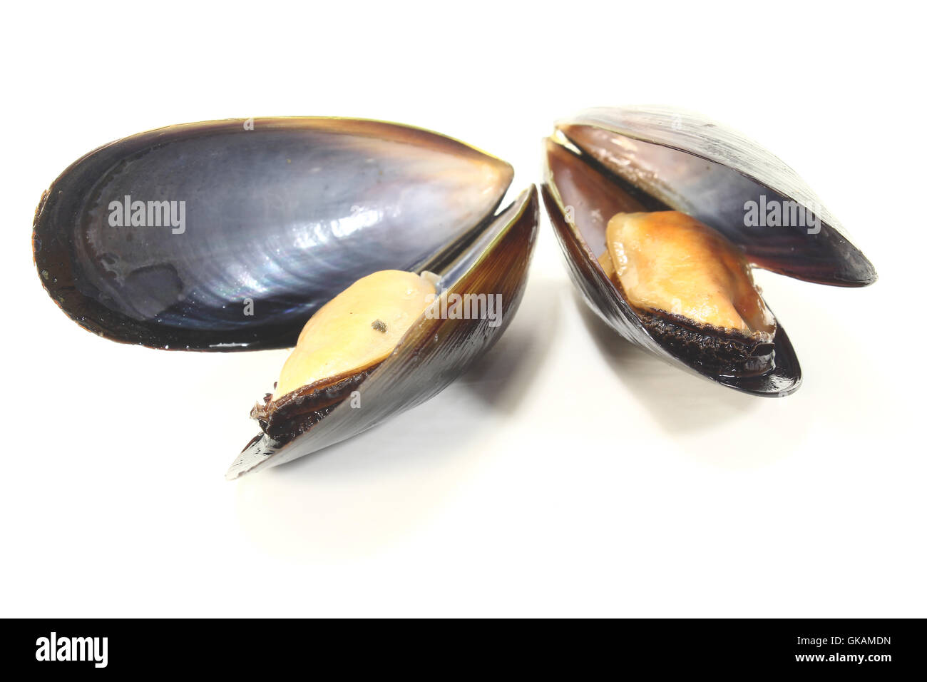Open mussels hi-res stock photography and images - Alamy