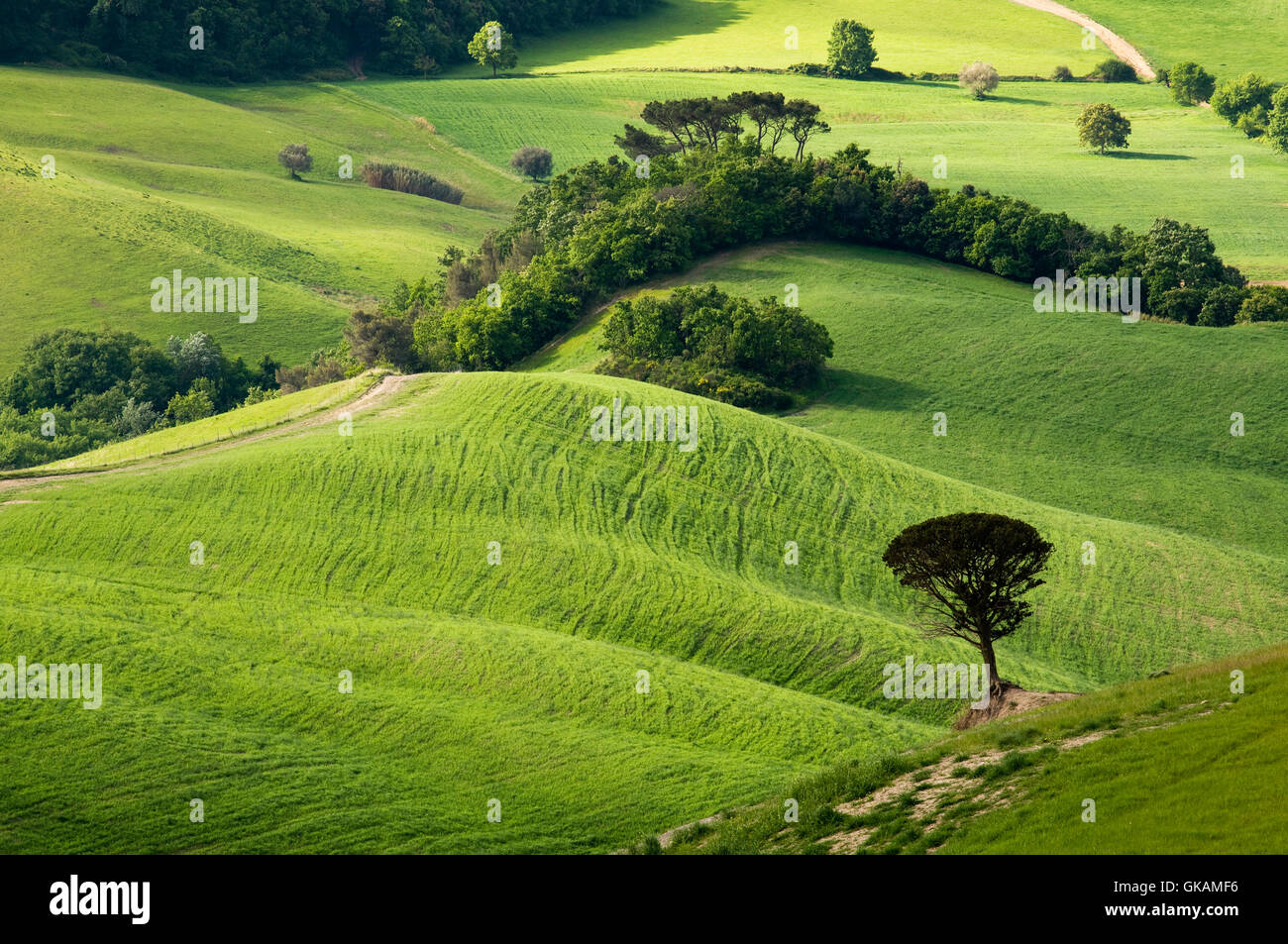 spring landscape scenery Stock Photo - Alamy