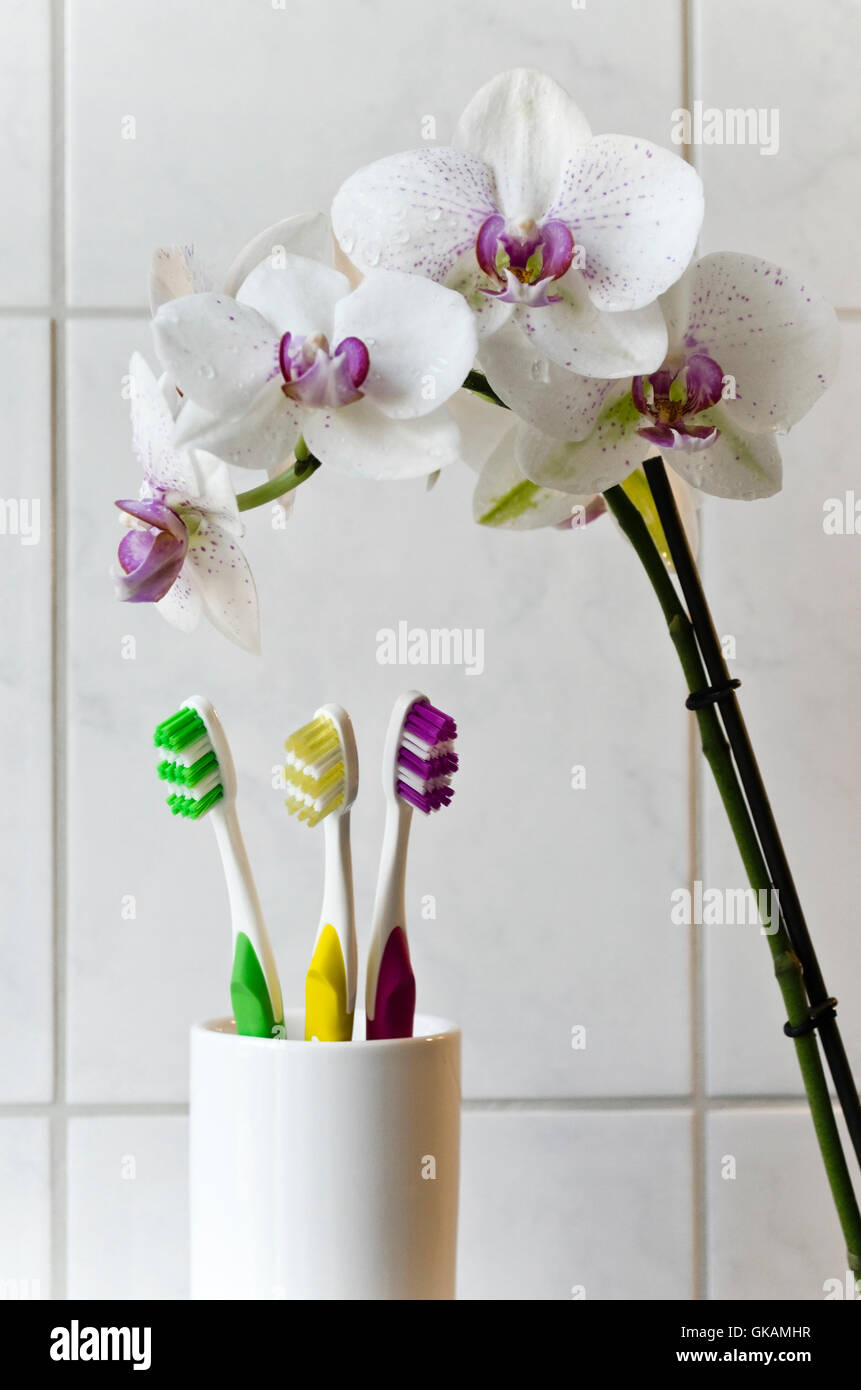 flow flower plant Stock Photo - Alamy